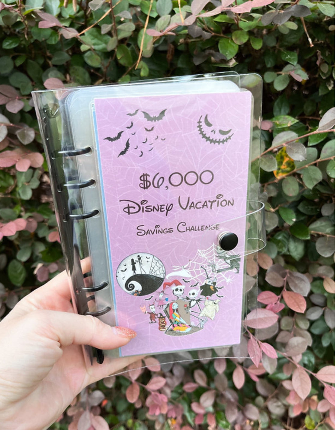 $6K Nightmare Before Xmas Vacation Savings Challenge – WillowBudgetShop